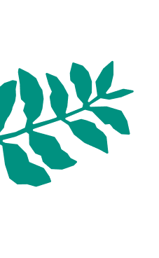 De koffie en thee webshop voor thuis - Webshop van Koffiebranderij Peeze